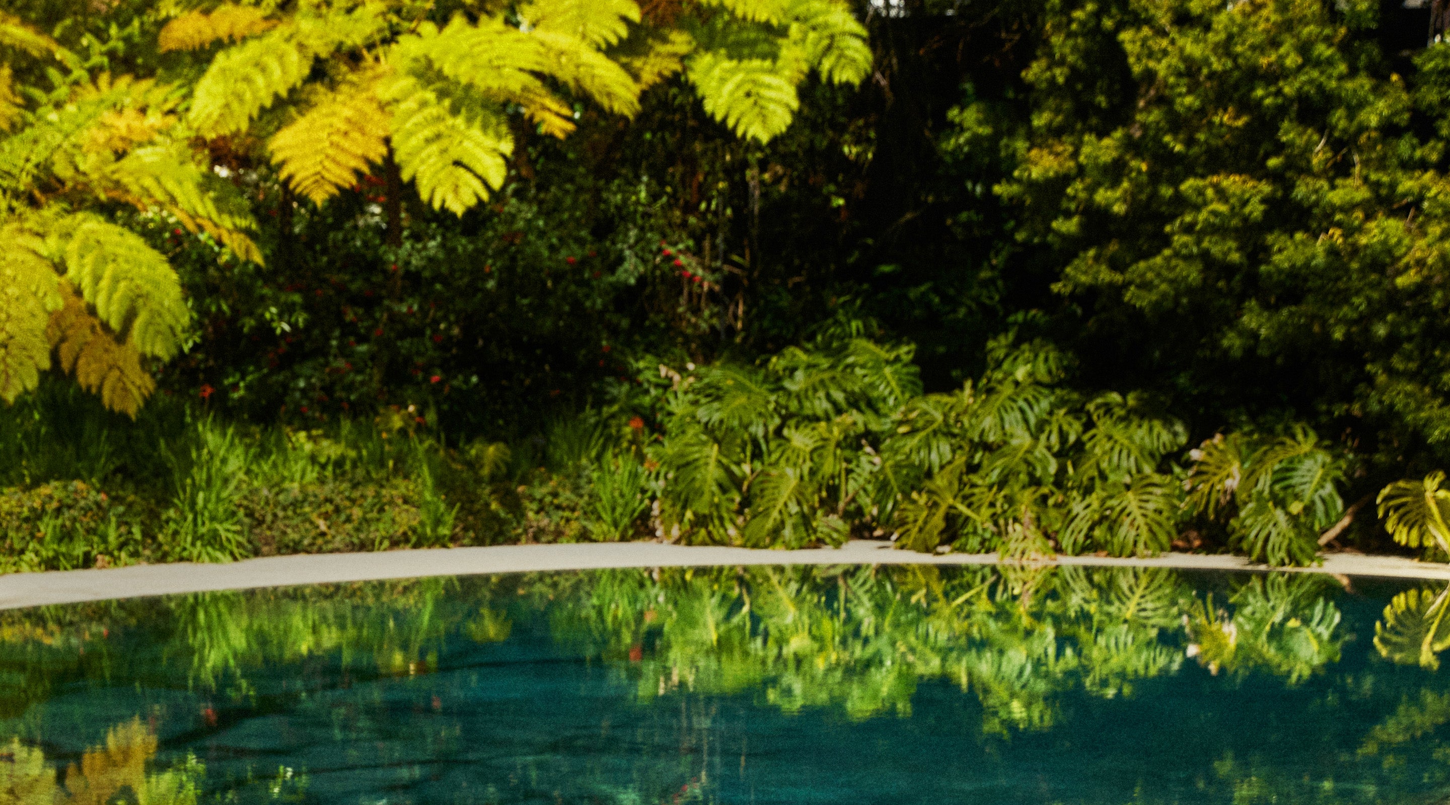 Michael Stars | High Quality Clothing, Made in LA